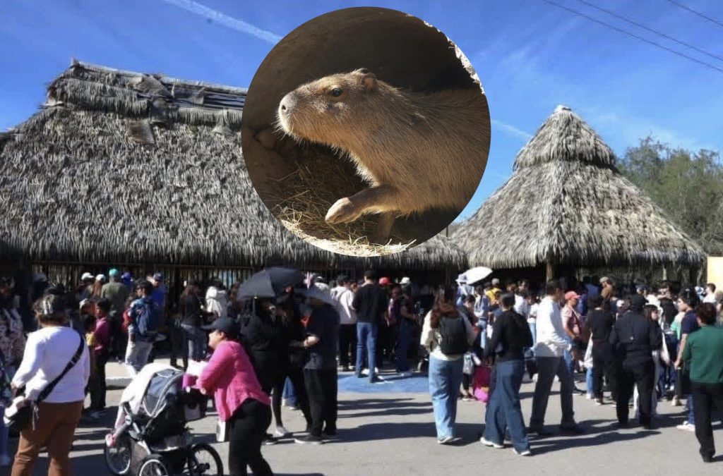 Centro Ecológico de Sonora recibe a más de 16 mil visitantes ...
